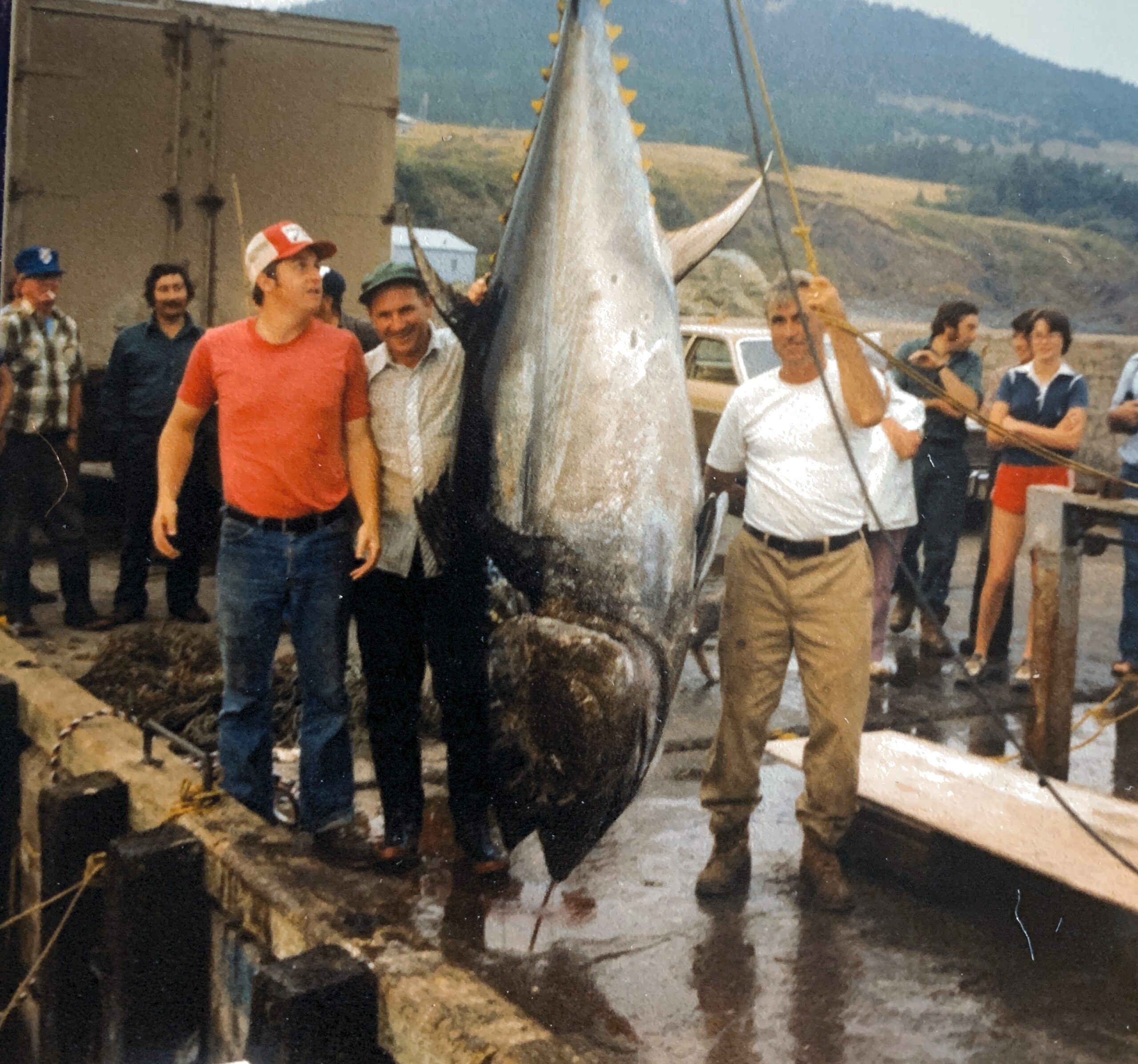 Tuna Fishing - Cape George Museum
