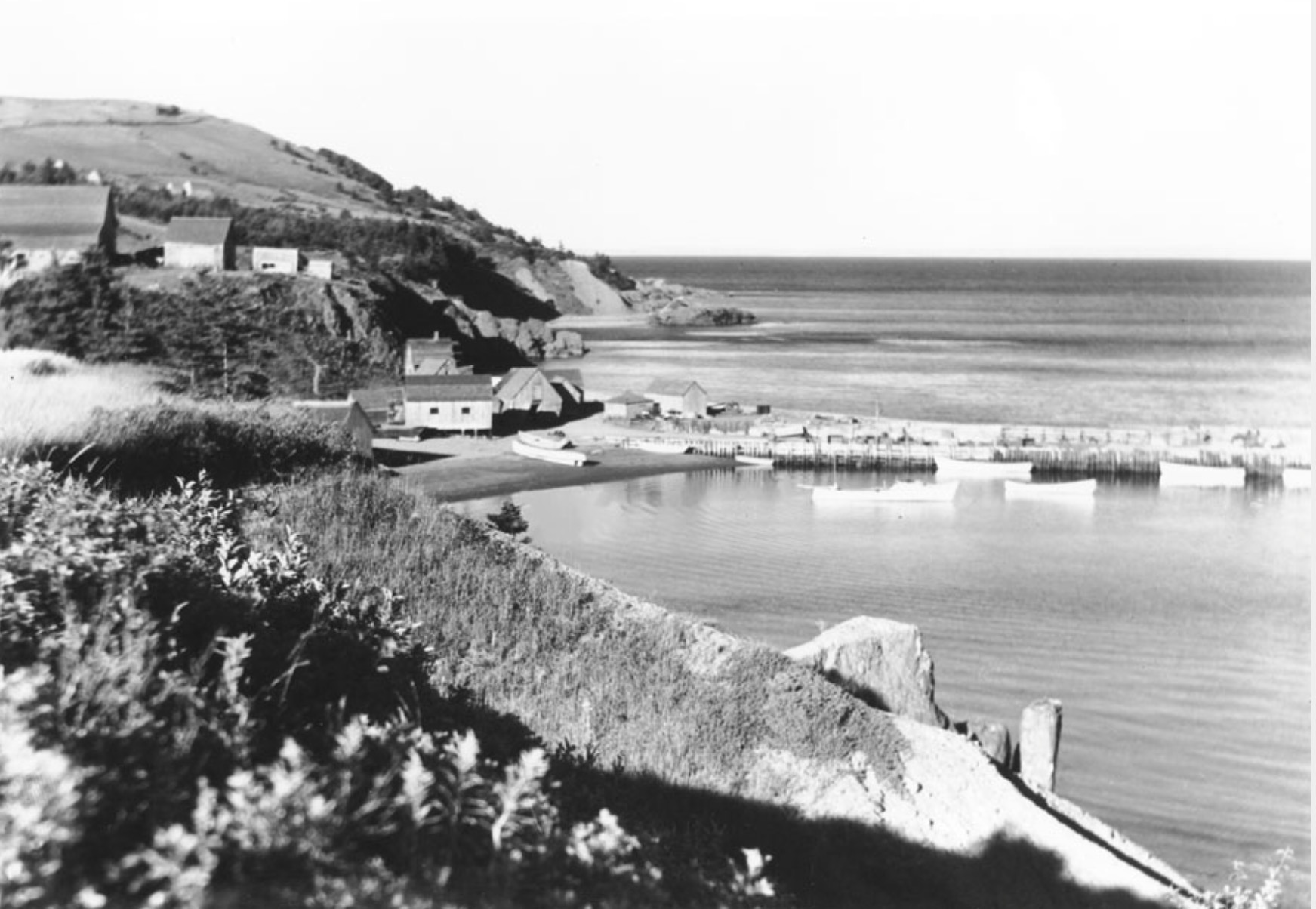 Cape George Landscapes - Cape George Museum