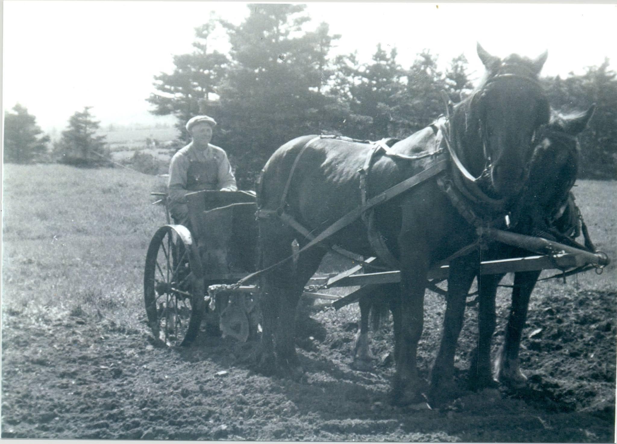 ff215 - Cape George Museum